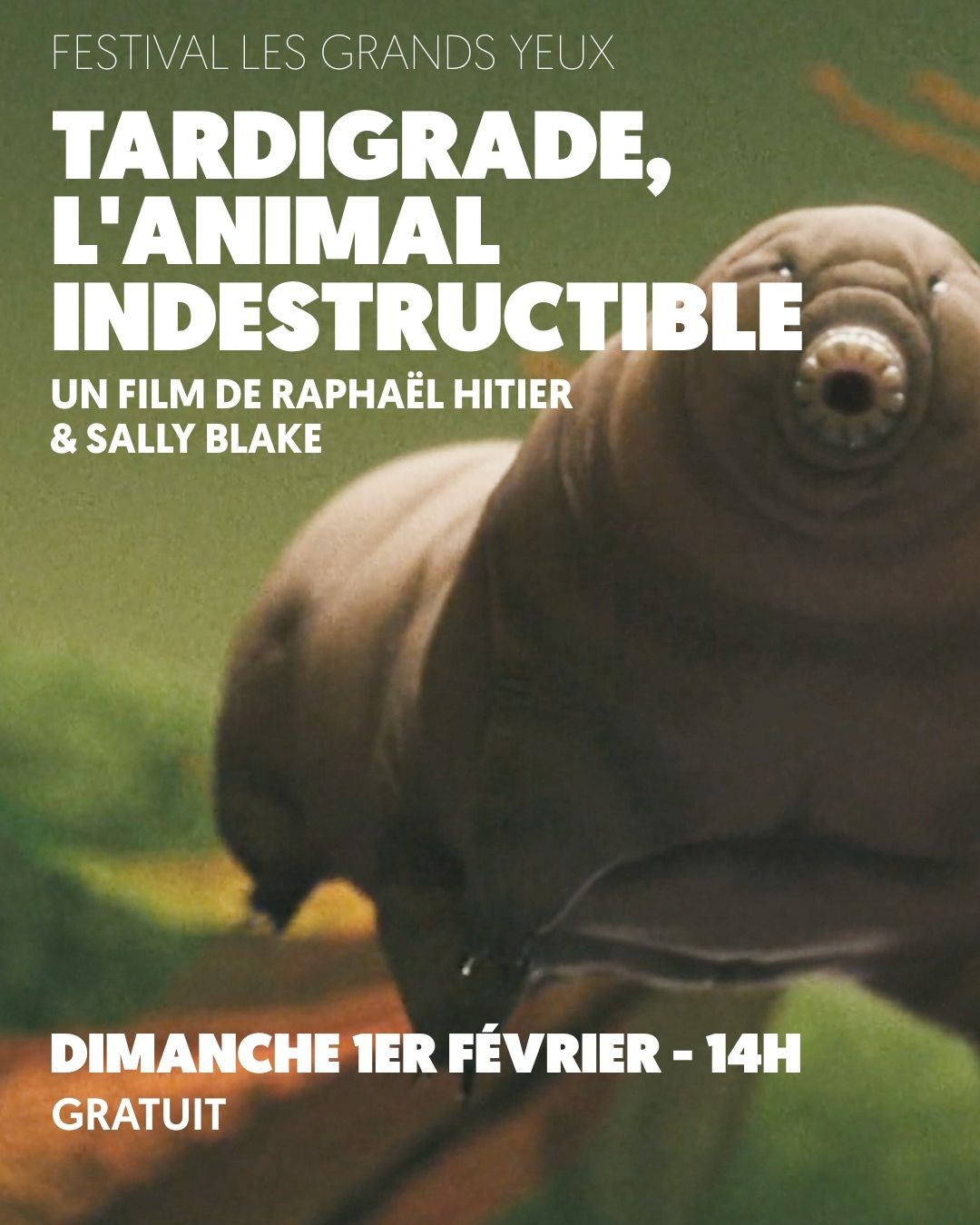 Halle Tropisme - Tardigrade, l'animal indestructible